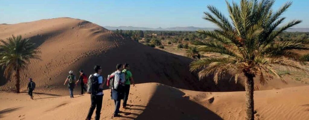 Bipel, 30 ans d'expertise dans le pèlerinage